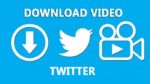 How to Download Twitter Videos 2025 Twitter Video Downloader for ...