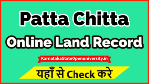 Patta Chitta Online 2025 { Direct Link } eService of Land Record, View ...