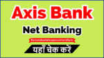 Axis Bank RTGS Form How Can Fill Axis Bank NEFT form PDF