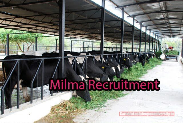 Milma Recruitment 2025 {Soon} Eligibility Criteria, Application Form ...