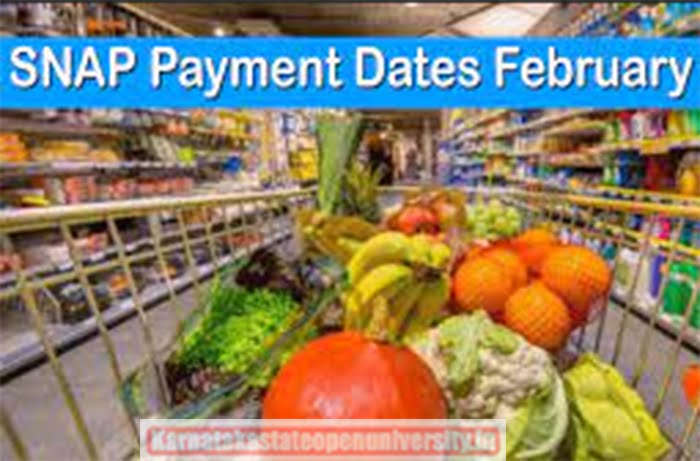 SNAP Payment Dates February 2025 Update, 35 States to Receive Payment Boost
