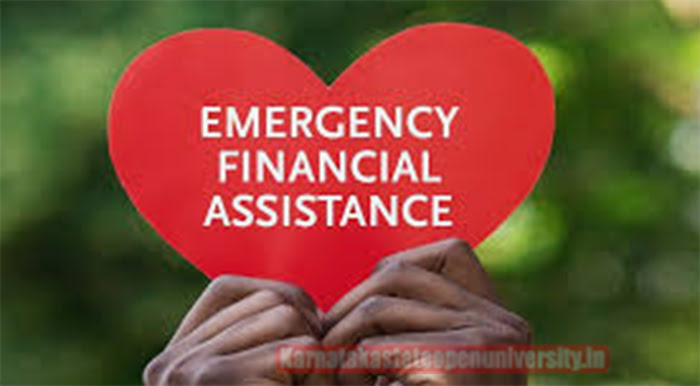 Emergency Financial Assistance 2025 – Know Eligibility, Amount How To ...