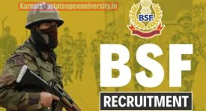 BSF Group B and C Recruitment 2024, 144 Vacancies, Notification ...
