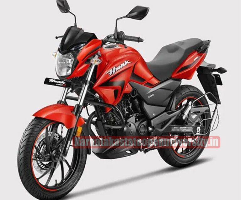 Hero Hunk 200R Bike Launched with Amazing Look, Premium Features ...